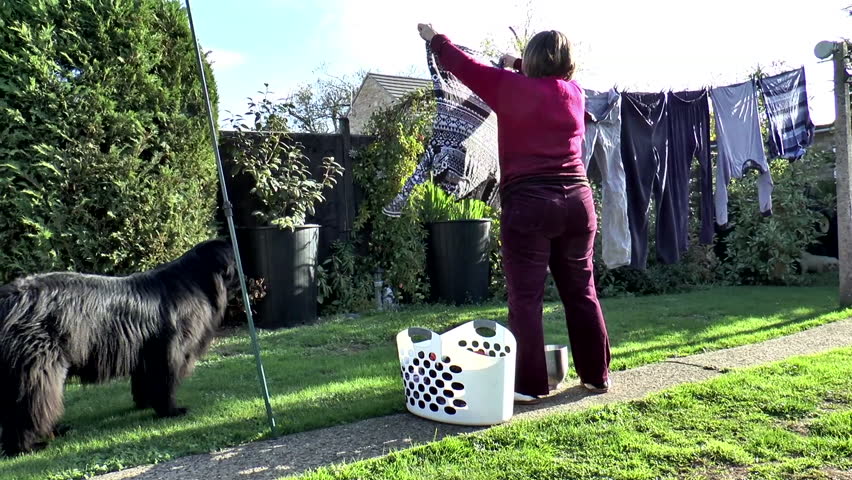 middle aged woman hanging wet washing Stock Footage Video (100% Royalty ...