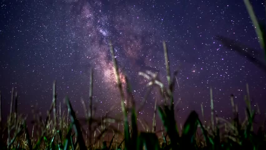 Thunder lightning red dust Stock Video Footage - 4K and HD Video Clips ...