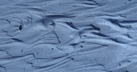 Dry Sand Texture Beach Stock Footage Video (100% Royalty-free ...