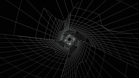 spider web animation alpha channel Stock Footage Video (100% Royalty ...