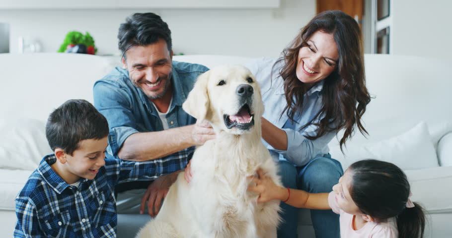 Animals Their Homes Stock Video Footage - 4K and HD Video Clips ...