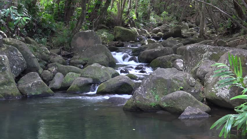 Time Lapse Water Brook Stream Stock Footage Video (100% Royalty-free ...