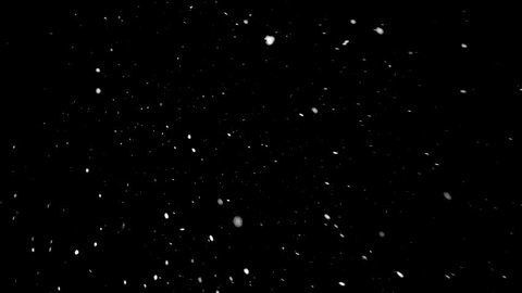 Real Snow Falling Snow Isolated On Stock Footage Video (100% Royalty ...