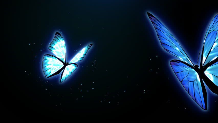 Beautiful Butterfly Dances [loop] Stock Footage Video (100% Royalty ...
