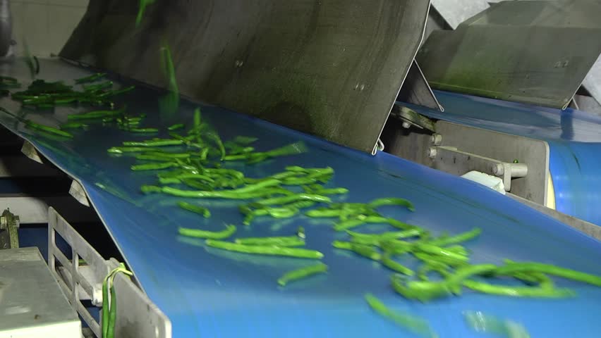 The Green Beans Processing and Stock Footage Video (100% Royalty-free ...