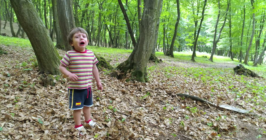cute little boy crying forest summer Stock Footage Video (100% Royalty ...