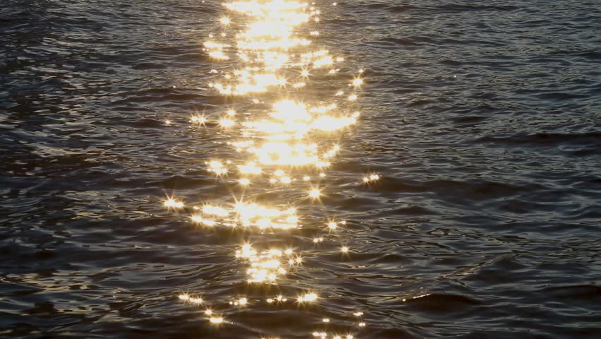 Sparkels Stock Video Footage - 4K and HD Video Clips | Shutterstock