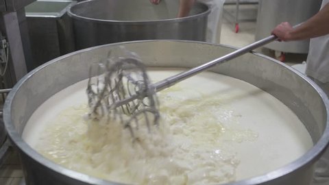 4k Genuine Mozzarella Production Process Stock Footage Video (100% ...