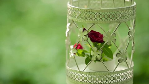 Rose Decorative Cell Stock Footage Video (100% Royalty-free) 10215815 ...