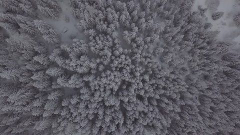 rain drops water rainfall sprinkle scene Stock Footage Video (100% ...