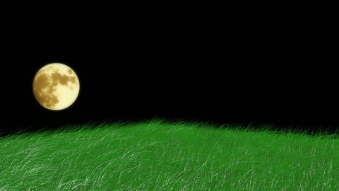 Moon Rises Above Grass Animation Greenery Stock Footage Video (100% ...