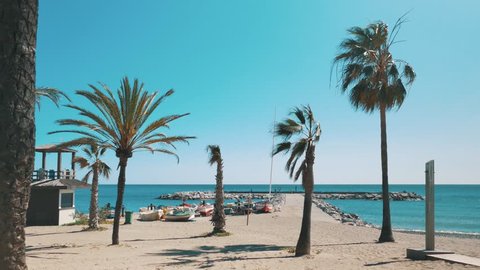 4k 25fps Palm Trees Beach Alboran Stock Footage Video (100% Royalty ...