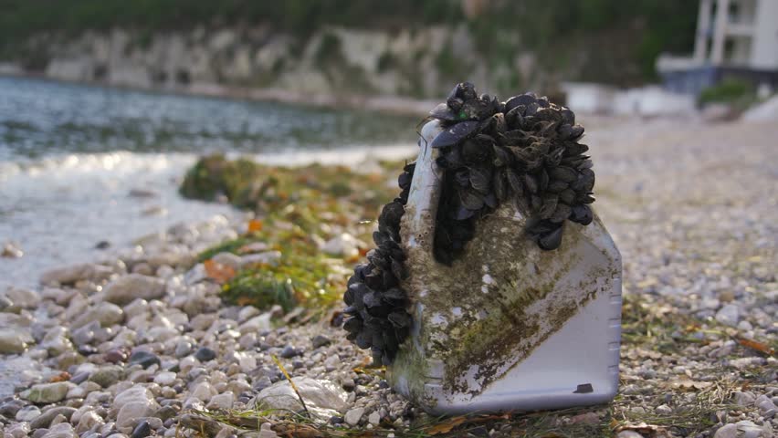 Canister Overgrown Mussels On Beach Pollution Stock Footage Video (100% ...