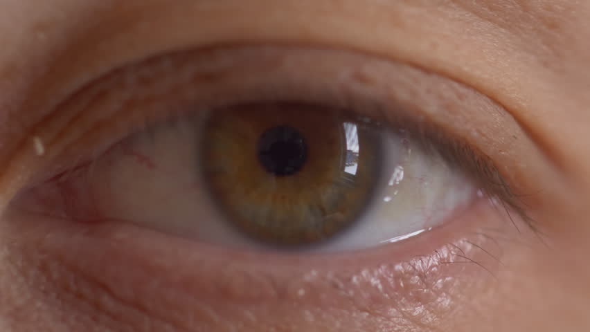 human eye close up eyebrows eyelashes Stock Footage Video (100% Royalty ...