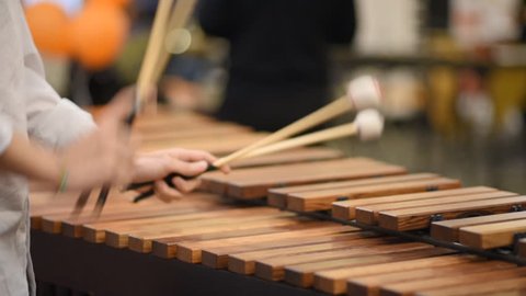 Closeup View Musician Playing Marimba Stock Footage Video (100% Royalty ...