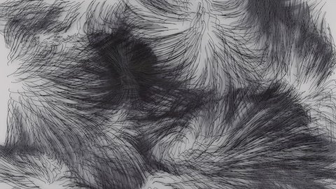 Dog Coat Texture Blue Merle Stock Photo 31592896 | Shutterstock