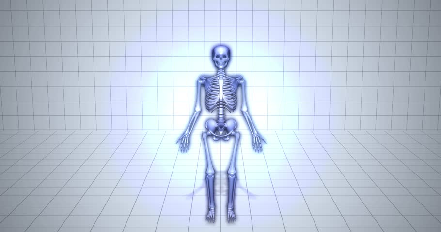 3d Human Anatomy Skeleton Visualization Stock Footage Video (100% ...