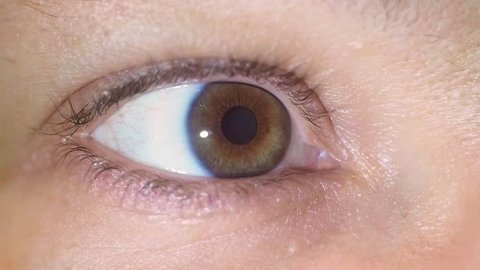 Anatomy Human Eye Front View External Stock Illustration 685689190