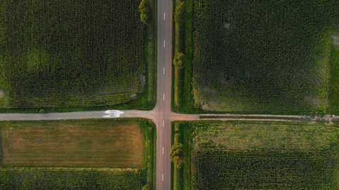 88 Road splitting into two Stock Video Footage - 4K and HD Video Clips ...