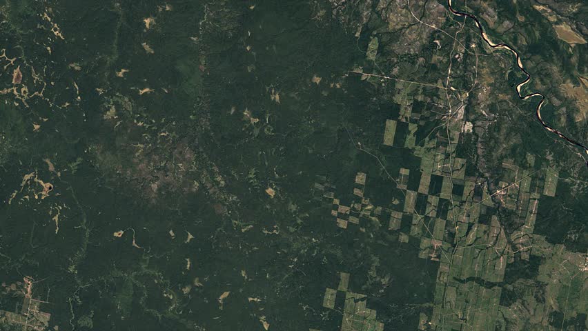 Time Lapse Deforestation from Satellite : vidéo de stock (100 % libre ...