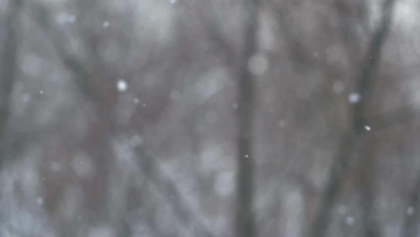 falling snow slow motion 02 Stock Footage Video (100% Royalty-free ...