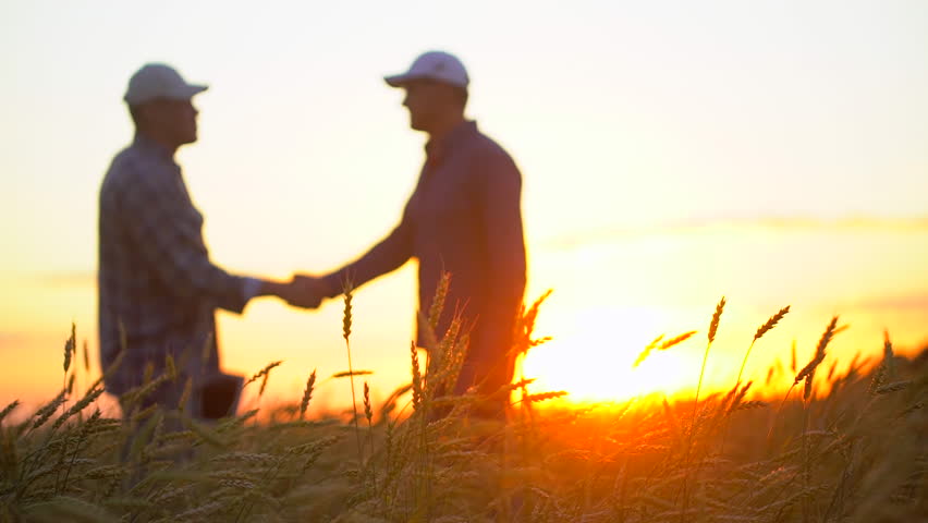 Farmer Contract Stock Video Footage - 4K and HD Video Clips | Shutterstock