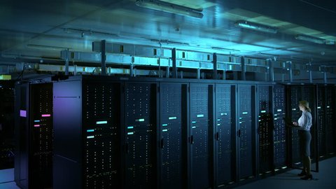 Server Racks Computer Network Security Server Stock Illustration ...