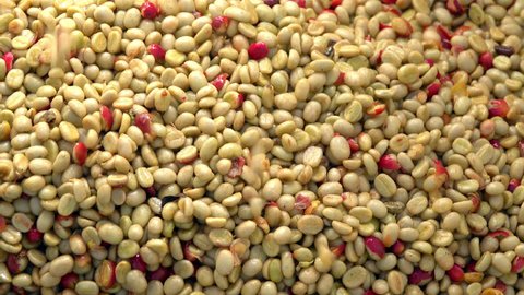 Step Circle Coffee Bean Paksong Plateau Stock Photo 752600338 ...