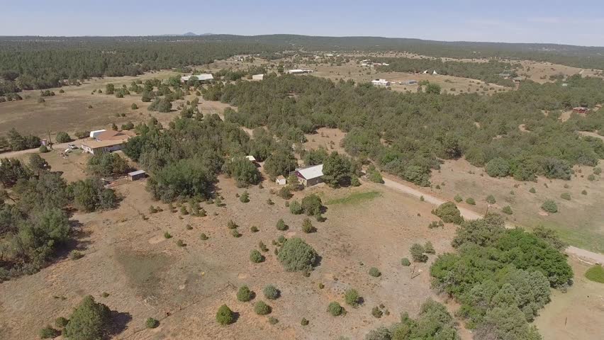 Pinon pines Stock Video Footage - 4K and HD Video Clips | Shutterstock