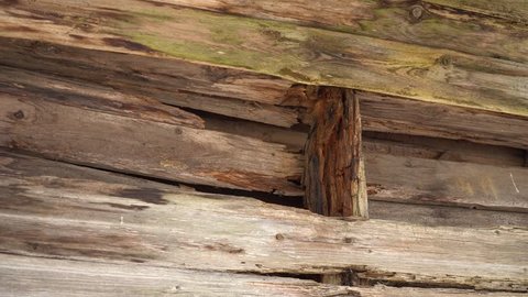 Wooden Building Decay Sample Close View Stock Footage Video (100% ...