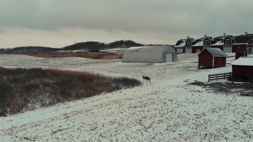 Landscape of the Snowy Field in Wisconsin image - Free stock photo ...