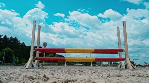 Obstacle Horse Riding Training Horses Before Stock Footage Video (100% ...