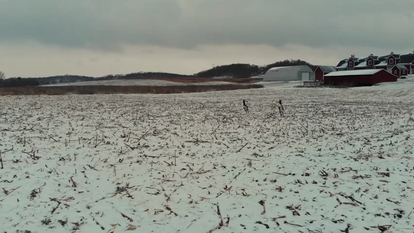 Landscape of the Snowy Field in Wisconsin image - Free stock photo ...