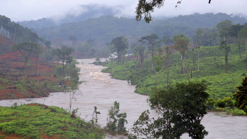 jungle river africa equatorial guinea Stock Footage Video (100% Royalty ...