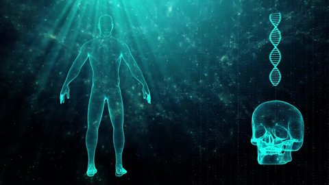 Side View Body Toroidal Field Stock Illustration 1945411669