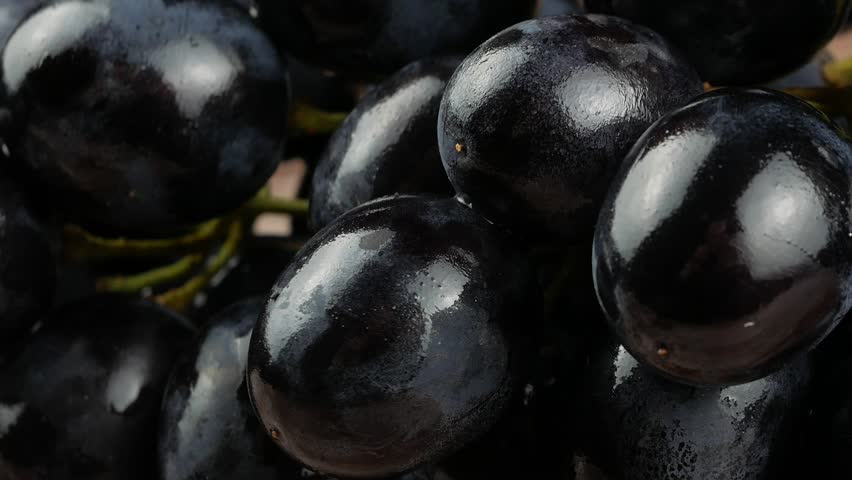 Pip Fruit Stock Video Footage - 4K and HD Video Clips | Shutterstock