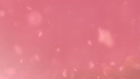 Bio Ultra Macro Kinetic Background Web Stock Footage Video (100% ...