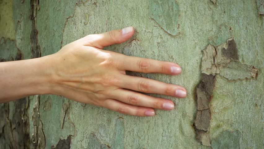 woman sliding hand along big old Stock Footage Video (100% Royalty-free ...