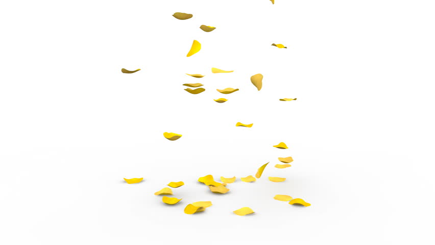 The Bright Yellow Petals of Stock Footage Video (100% Royalty-free ...