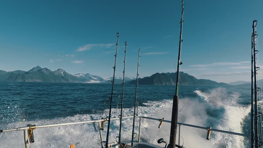 Slowmotion Back View of Fishing Stock Footage Video (100% Royalty-free ...