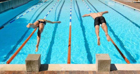 Rear View Caucasian Male Female Swimmer Stock Footage Video (100% ...