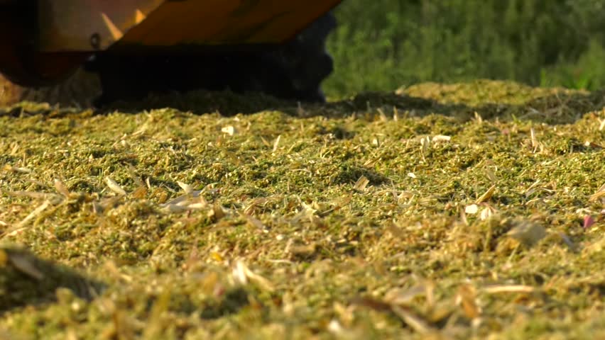 ramming corn silage silo trench on Stock Footage Video (100% Royalty ...