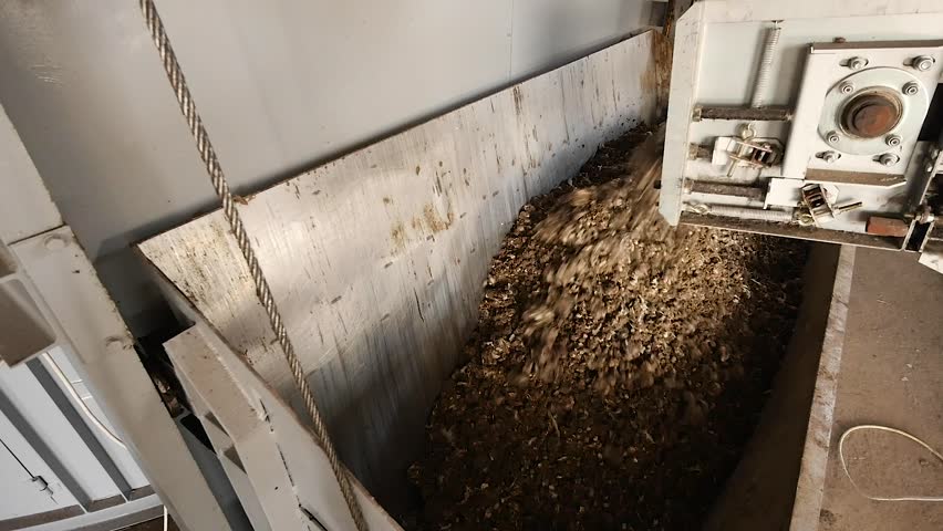 Chicken Shit Stock Video Footage - 4K and HD Video Clips | Shutterstock