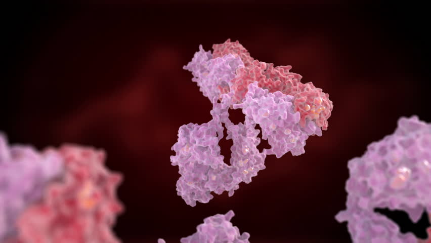 Elisa Stock Video Footage - 4K and HD Video Clips | Shutterstock