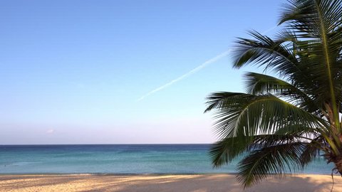 tropical beach background loop Stock Footage Video (100% Royalty-free ...