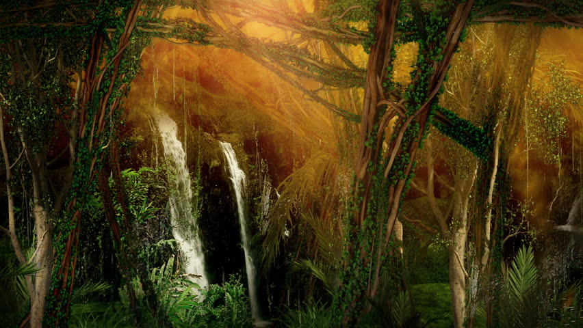 jungle forest scenic - nature rainforest Stock Footage Video (100% ...