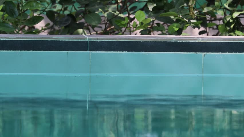 swimming pool trees background Stock Footage Video (100% Royalty-free ...
