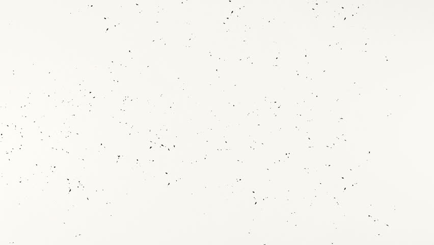 Melange Fabric Pattern Stock Video Footage - 4K and HD Video Clips ...