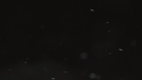 real falling snow isolated on black Stock Footage Video (100% Royalty ...