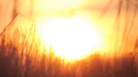 beautiful warm sunset reflections on water Stock Footage Video (100% ...